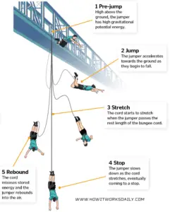 How Does Bungee Jumping Work? + How They Test (Video)